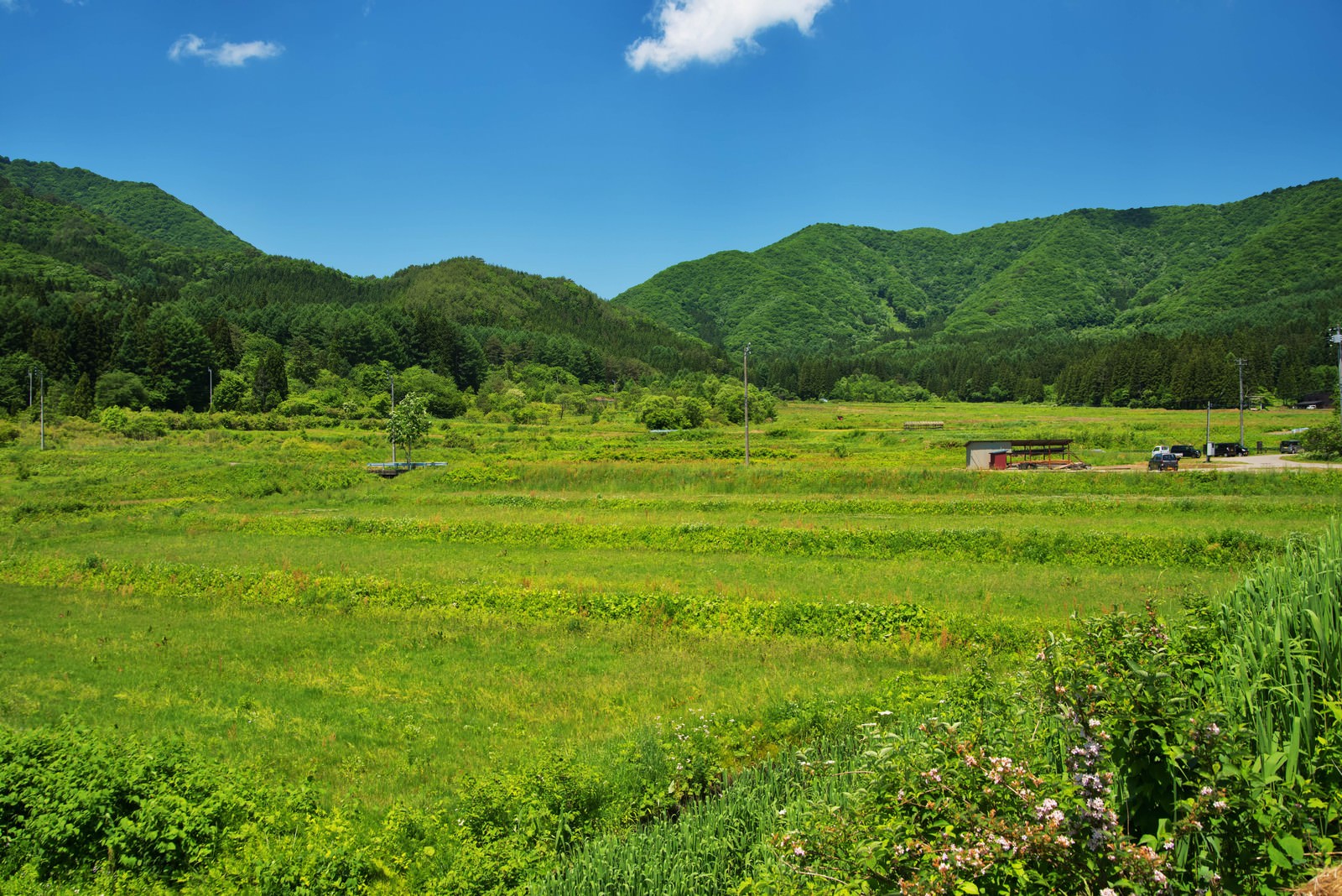 熊本県菊陽町：人口増加率が全国トップクラス！光の森が発展する魅力的なベッドタウン - チフォー