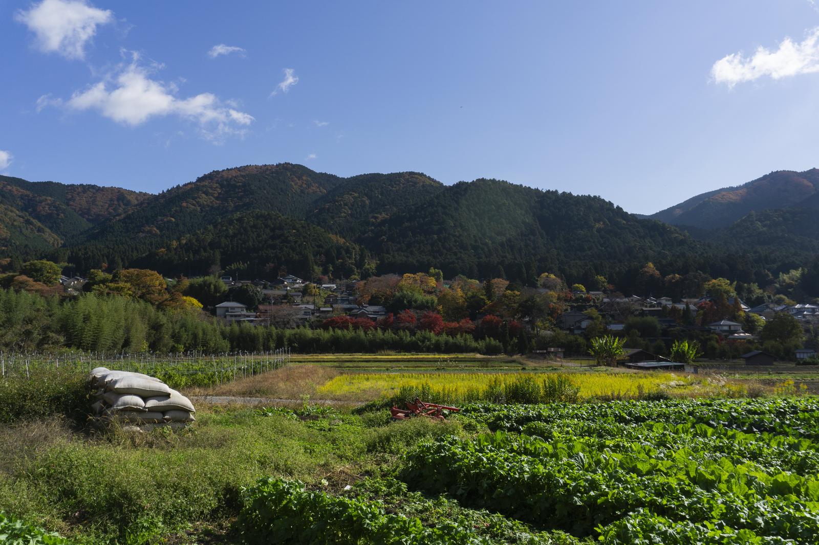 山梨県上野原市：自然と歴史が織りなす魅力溢れる街 - チフォー
